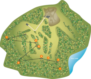 Thrilling 7-Line Zipline in Minnesota | Brainerd Zipline Tour